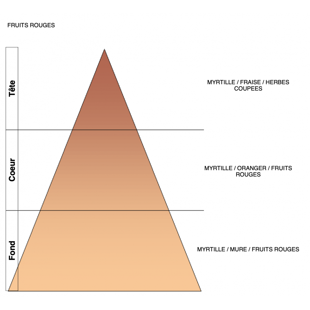 Senteur pour bougie Fruits Rouges